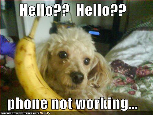 Hello?? Hello?? phone not working... - Cheezburger - Funny Memes ...