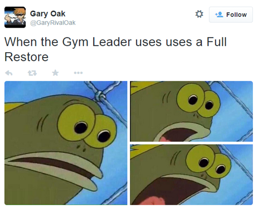 Pokémemes - gym leaders - Pokemon Memes - Pokémon, Pokémon GO - Cheezburger