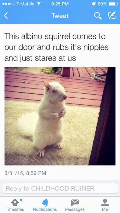 Ever Get That Feeling You're Being Watched by a Pervy Squirrel ...