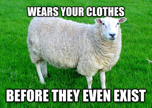 Hipster Sheep - Memebase - Funny Memes