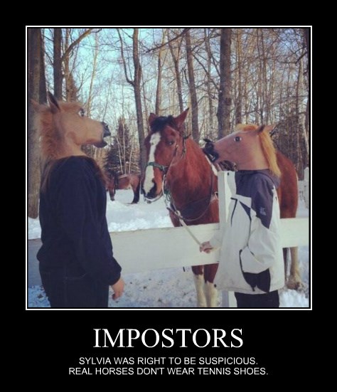 Show Me Your Hooves! - Animal Comedy - Animal Comedy, funny animals ...