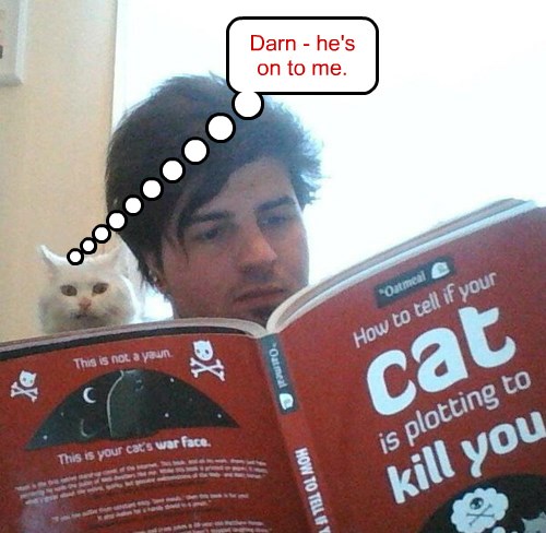 Lolcats - plot - LOL at Funny Cat Memes - Funny cat pictures with words on them - lol | cat ...