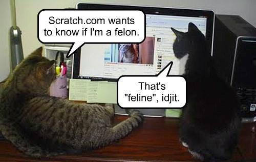 Online Dating Application is Incompatible with Lolspeak - Lolcats - lol ...