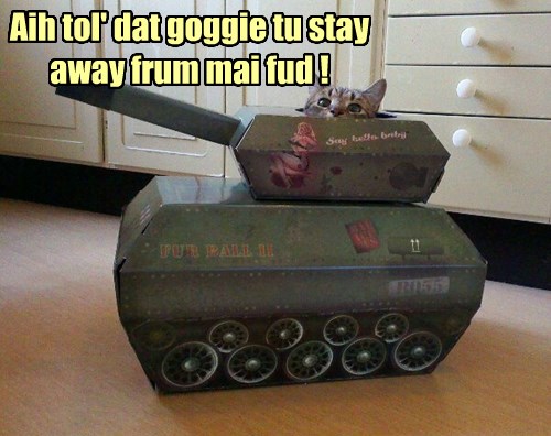 Lolcats - tank - LOL at Funny Cat Memes - Funny cat pictures with words ...