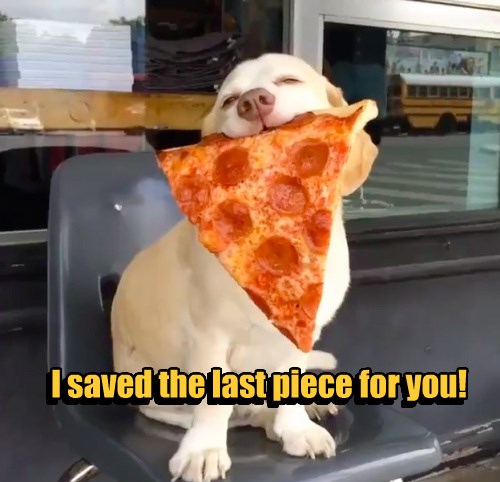 Dog Pizza Memes