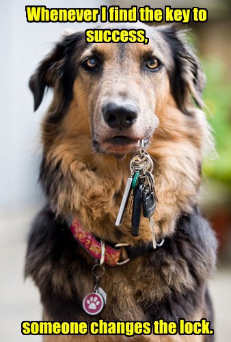 Or I Accidentally Swallow The Keys - I Has A Hotdog - Dog Pictures ...