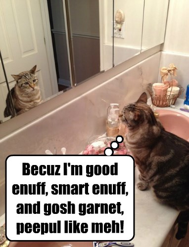 I Reaffirm It Every Day - Lolcats - lol | cat memes | funny cats ...