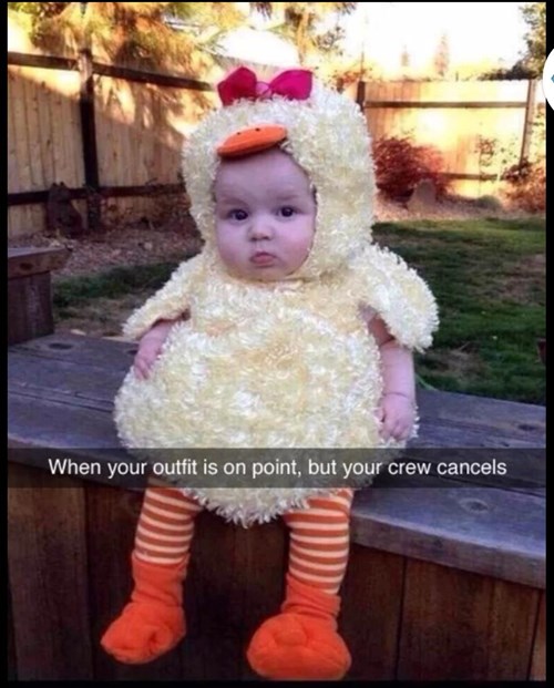 All This Work for Nothing! - Memebase - Funny Memes