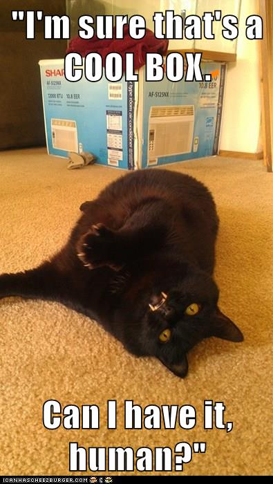 Don't Make Me Ask The Hard Way - Lolcats - lol | cat memes | funny cats ...