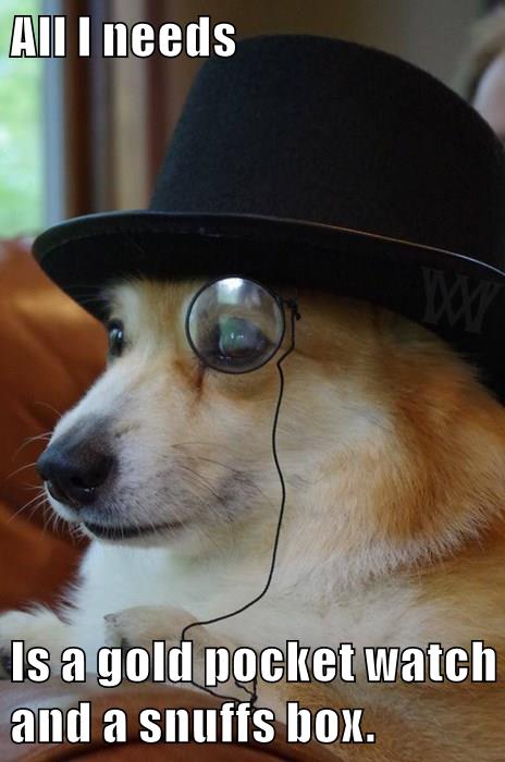 I Has A Hotdog - fancy - Funny Dog Pictures | Dog Memes | Puppy ...