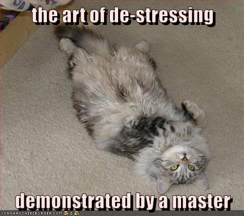 Lolcats - rest - LOL at Funny Cat Memes - Funny cat pictures with words ...