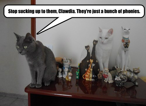 He's Been Reading Catcher in the Rye - Lolcats - lol | cat memes ...