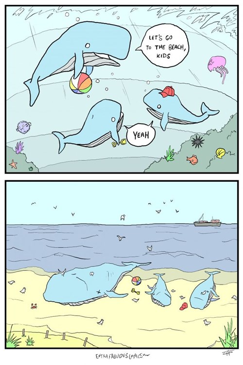Whale, We All Have a Darkness Inside Us - Web Comics - 4koma comic ...