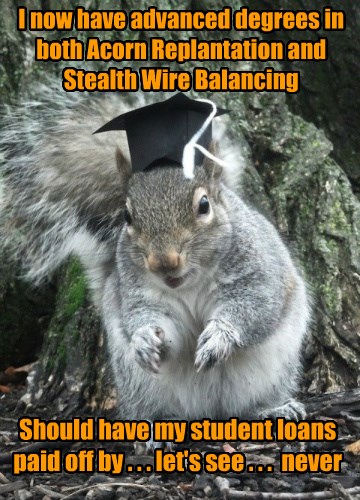 Animal Comedy - squirrel - Page 3 - Animal Comedy - Animal Comedy ...