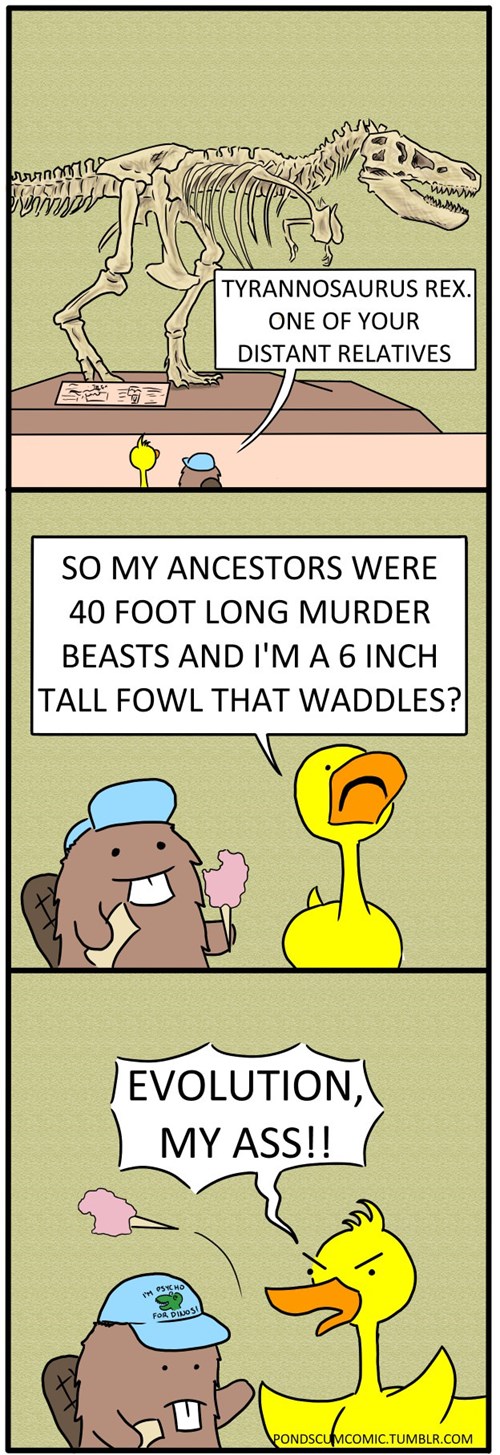 Evolution is a Tricky Thing - Web Comics - 4koma comic strip, webcomics ...
