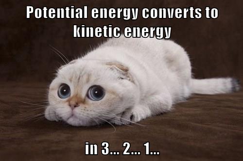 Potential energy converts to kinetic energy in 3... 2... 1... - Lolcats ...