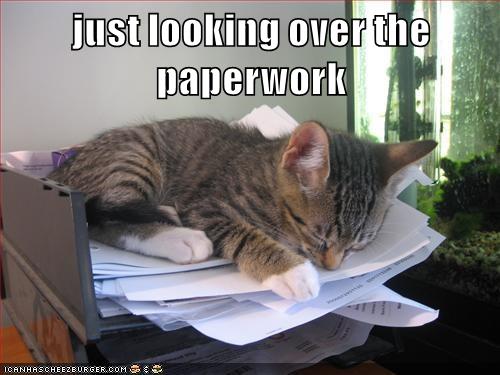 Catching Up On Important Documents - Lolcats - lol | cat memes | funny ...