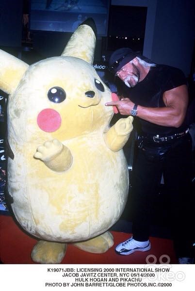 Hotta Hulk 'em All, Brother - Pokémemes - Pokémon, Pokémon GO