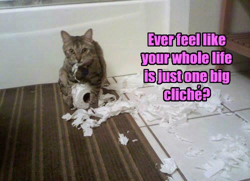 Cat Realisation Memes