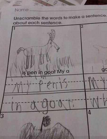 Seems Like A Baaad Idea - School of Fail - homework class test