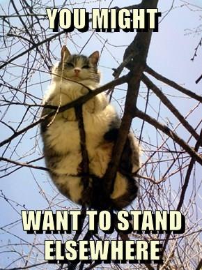 I'm on the Hunt - Lolcats - lol | cat memes | funny cats | funny cat ...