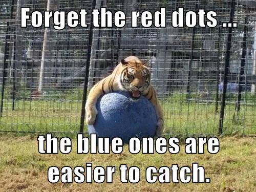 Forget the red dots ... the blue ones are easier to catch. - Lolcats ...