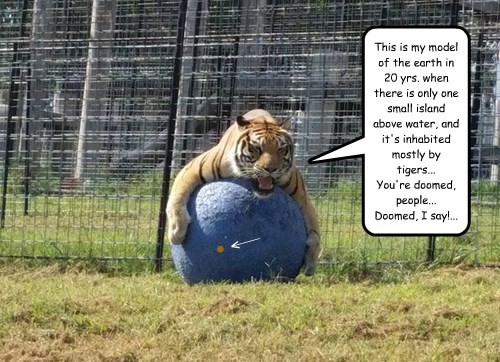 Tiger Island - Lolcats - lol | cat memes | funny cats | funny cat ...