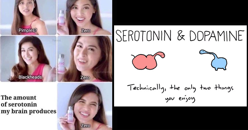 Serotonin And Dopamine Funny