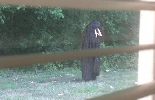 WTF of the Day: Someone in North Carolina is Going Around Dropping Raw ...