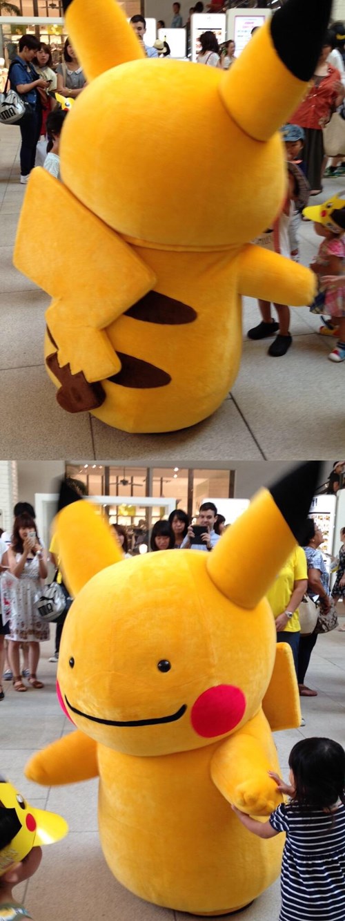 Pokémemes - ditto - Pokemon Memes - Pokémon, Pokémon GO - Cheezburger