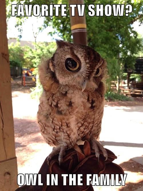 Obviously - Animal Comedy - Animal Comedy, funny animals, animal gifs