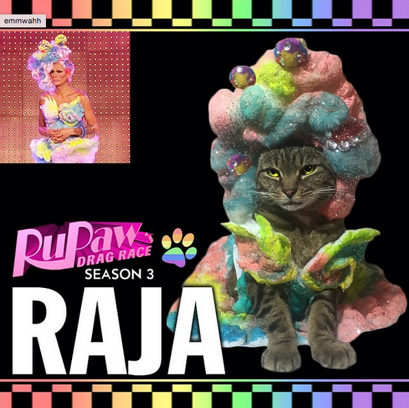 Instagram Feed of the Day: Ru'Paws' Drag Race Makes a Drag Queen Cat Recreate the Show's Best ...