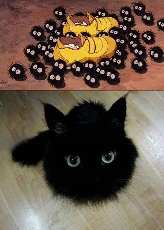 This Cat is a Soot Sprite! - Cartoons & Anime - Anime | Cartoons ...