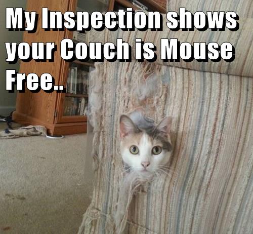 That'll Be Three Cans of Tuna for My Trouble - Lolcats - lol | cat ...