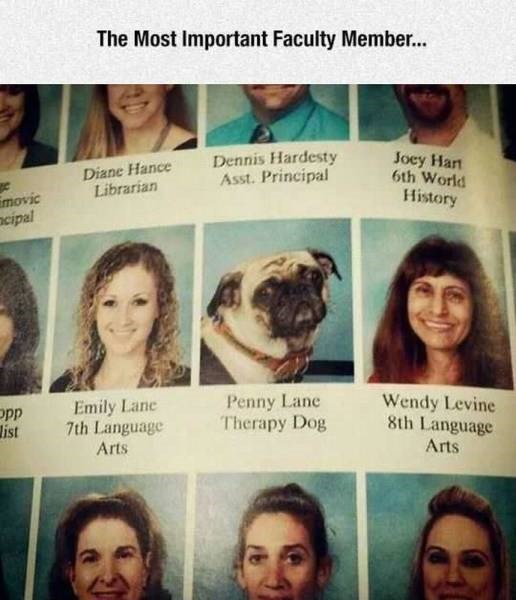 FAIL Blog - yearbook - Page 2 - Epic FAILs funny videos - Funny Fails ...