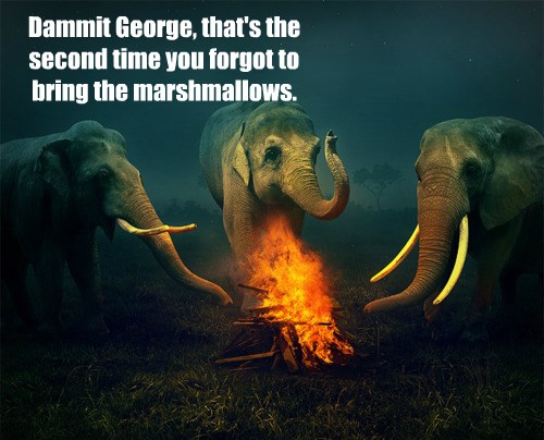 Dammit George, that's the second time you forgot to bring the ...