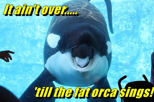 Animal Comedy - orca - Animal Comedy - Animal Comedy, funny animals ...