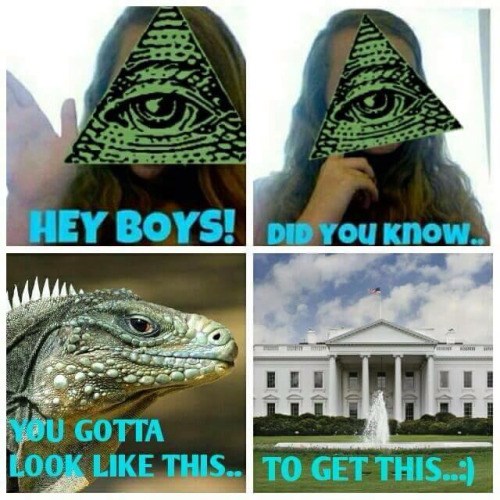 Lizard Man Memes Reptilian Meta Man Lizard People Meme Sticker