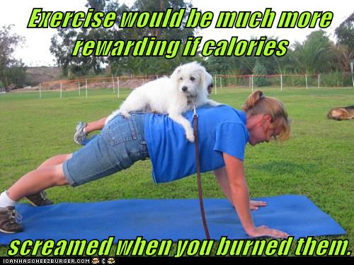 Fitness Dog Memes