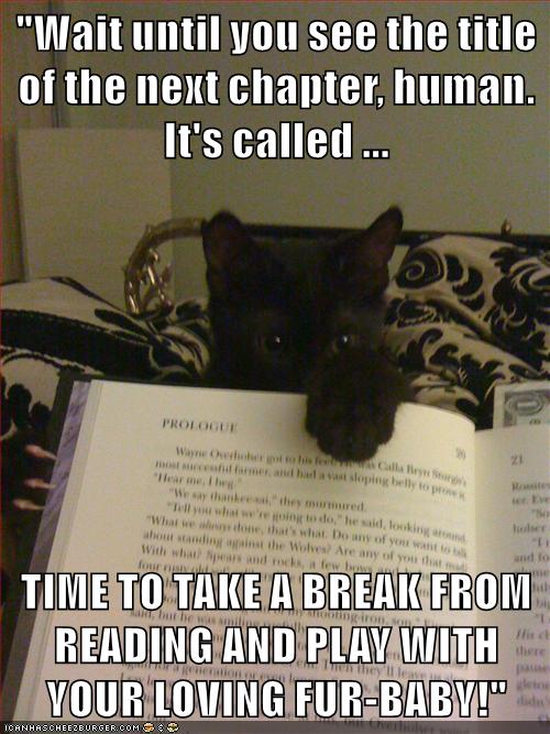 Lolcats - fur baby - LOL at Funny Cat Memes - Funny cat pictures with ...