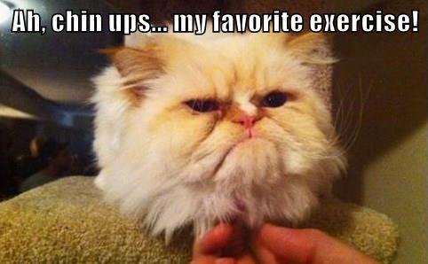 Next to tummy rubbez - Lolcats - lol | cat memes | funny cats | funny ...