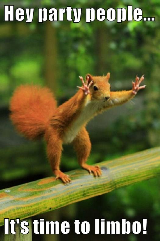 Hey party people... It's time to limbo! - Animal Comedy - Animal Comedy ...