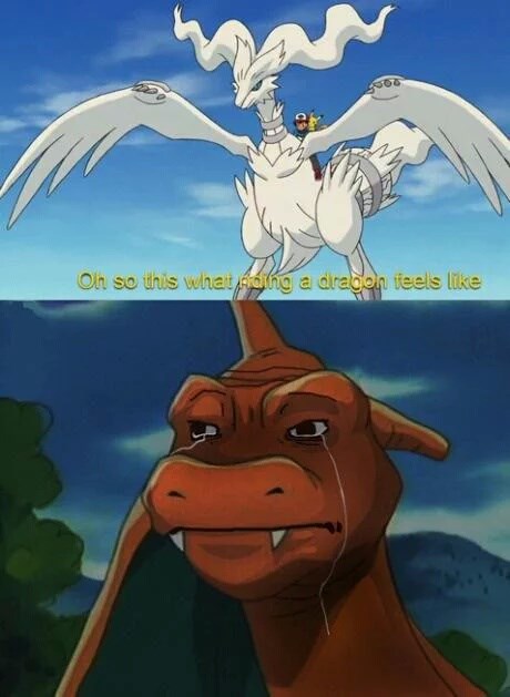 Pokémemes - dragons - Pokemon Memes - Pokémon, Pokémon GO - Cheezburger
