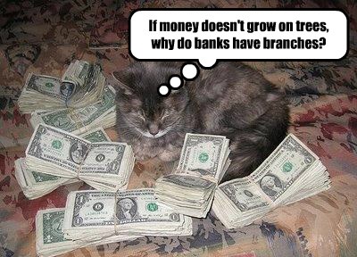 Good Question - Lolcats - lol | cat memes | funny cats | funny cat ...