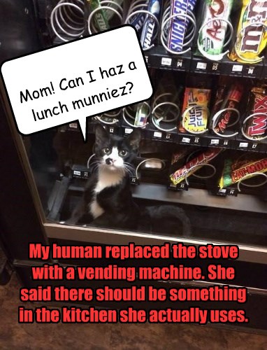 Smart Woman. - Lolcats - lol | cat memes | funny cats | funny cat ...