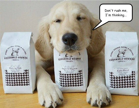 I Has A Hotdog - thinking - Funny Dog Pictures | Dog Memes | Puppy ...