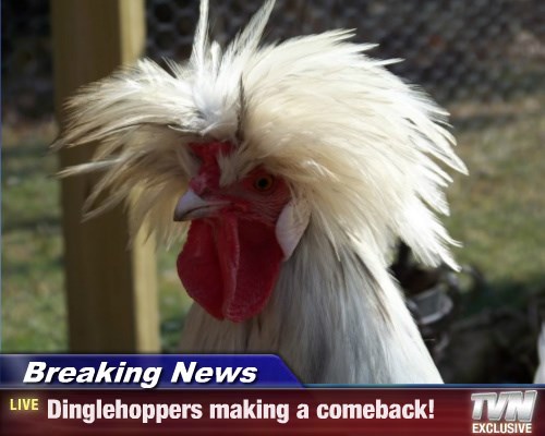 Breaking News - Dinglehoppers making a comeback! - Animal Comedy ...