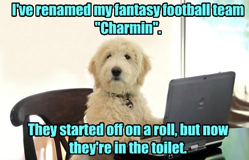 I Has A Hotdog - football - Funny Dog Pictures | Dog Memes | Puppy ...