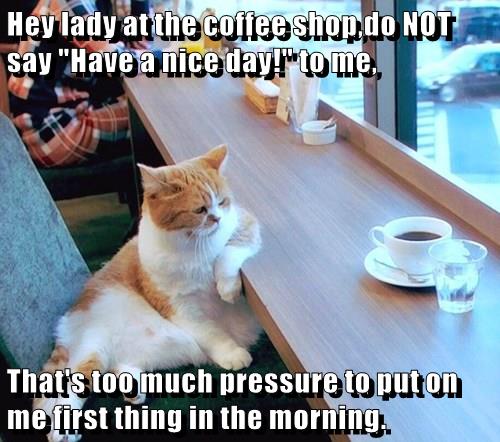Lolcats - coffee - Page 2 - LOL at Funny Cat Memes - Funny cat pictures ...