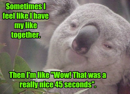 I Know You've Been There - Animal Comedy - Animal Comedy, funny animals ...